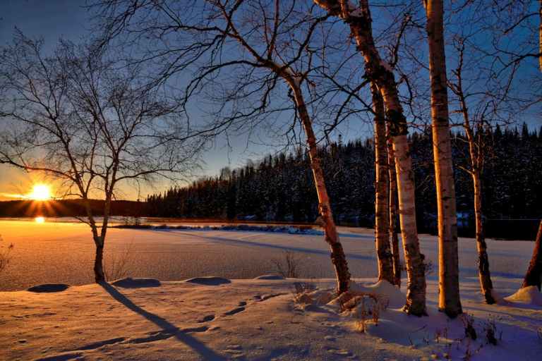 Celebrating the Winter Solstice with Costumes and Festivities – The ...
